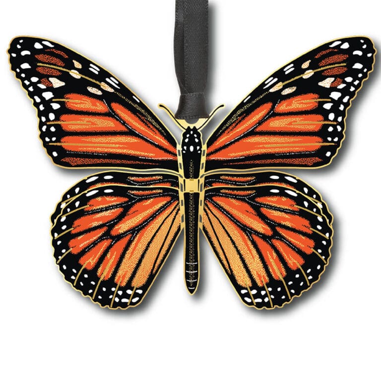 Monarch Butterfly w/ Oval Namedrop | Beacon Design