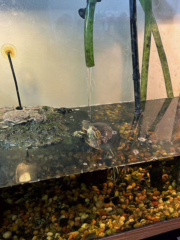 Beacon Gives Back | Beacon Design