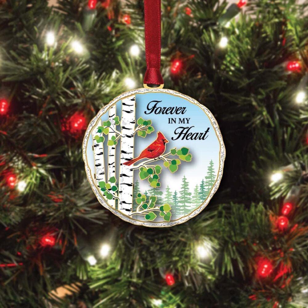 Cardinal Comfort | Beacon Design